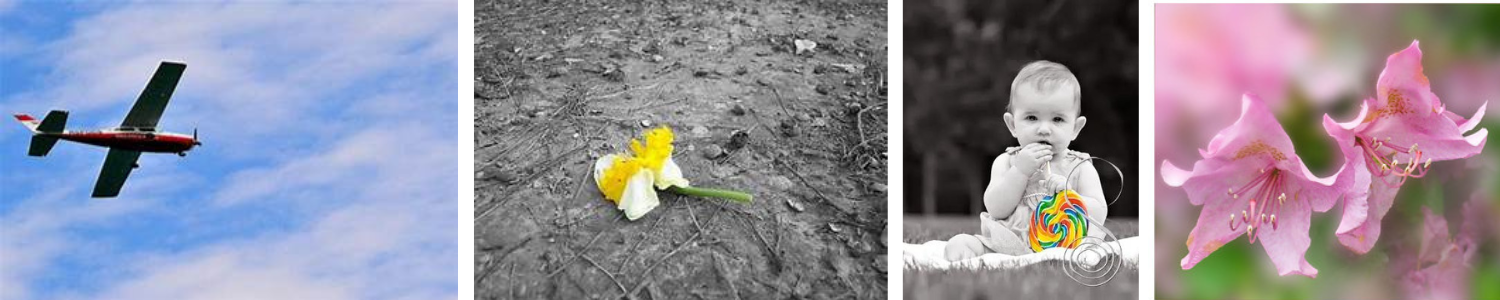 Aperture in Photography: How to Control Light and Focus