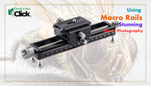 Macro Rails for Macro Photography: Sharper Focus, Better Results