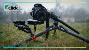 Macro Rails for Macro Photography: Sharper Focus, Better Results